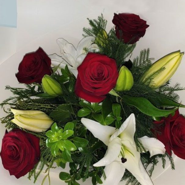 Single Rose Gift Wrapped - Same or Next Day Gift & Flower Delivery Auckland